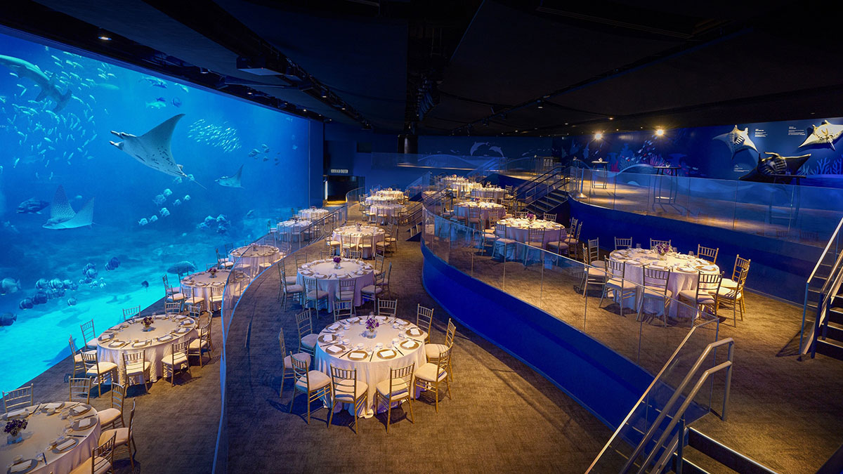 New Singapore Oceanarium targets business events - micenet